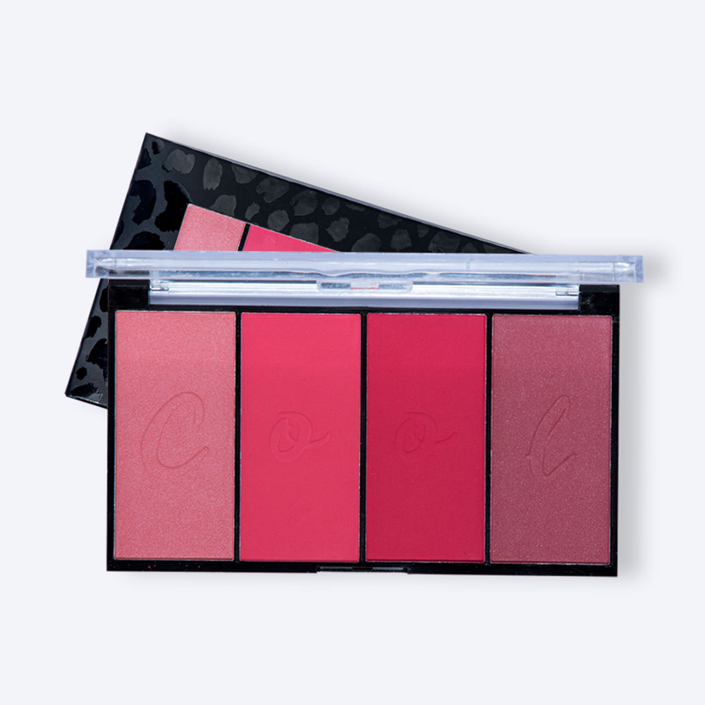 Technic Blush Palette Cool Edit - 20gm